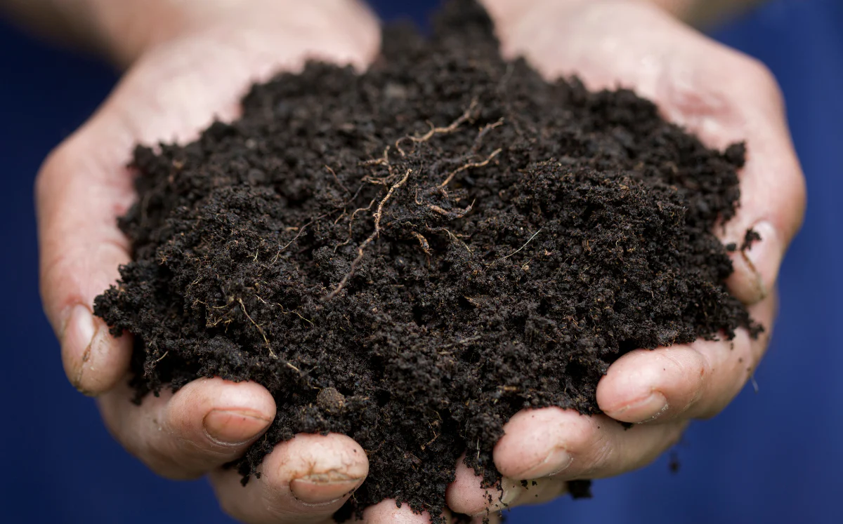 Inhumation ou crémation? La nouvelle option humusation - Telos